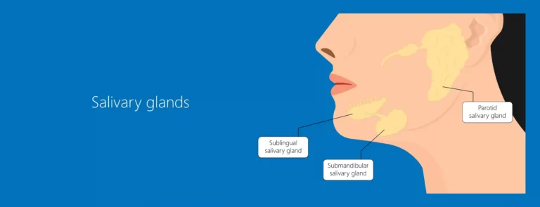 A Patient’s Guide to Parotid Gland Tumour Surgery in Singapore